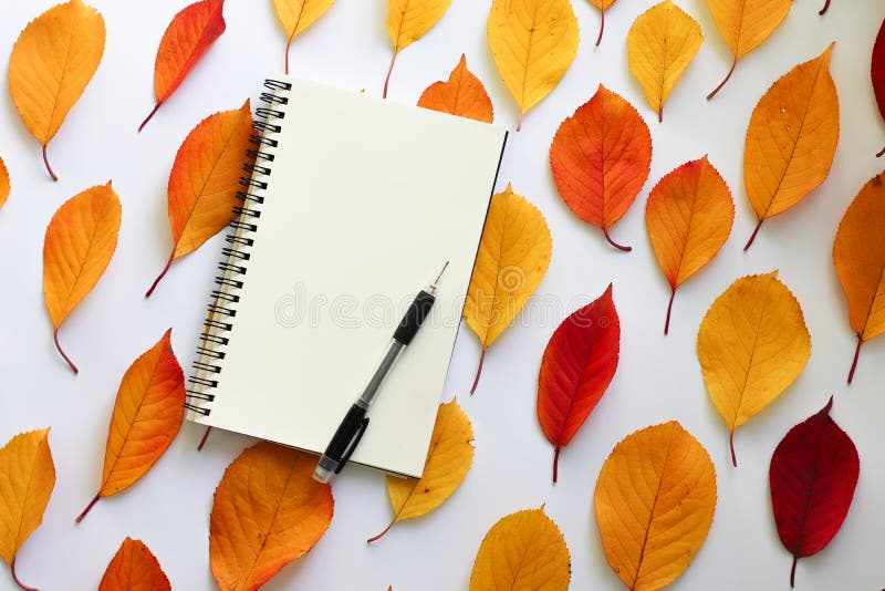 Autumn Flat Lay Composition. Bright Leaves with Notebook on a White ...