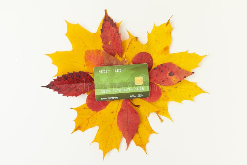 Autumn Flat Lay with Credit Card and Leaves Stock Photo - Image of ...
