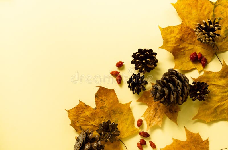 Autumn Flat Lay of Maple Leaves, Cones and Rosehip Berries Stock Image ...