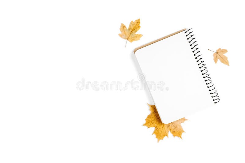 Autumn Flat Lay Overhead Top View Dried Maple Leaves and Notebook ...