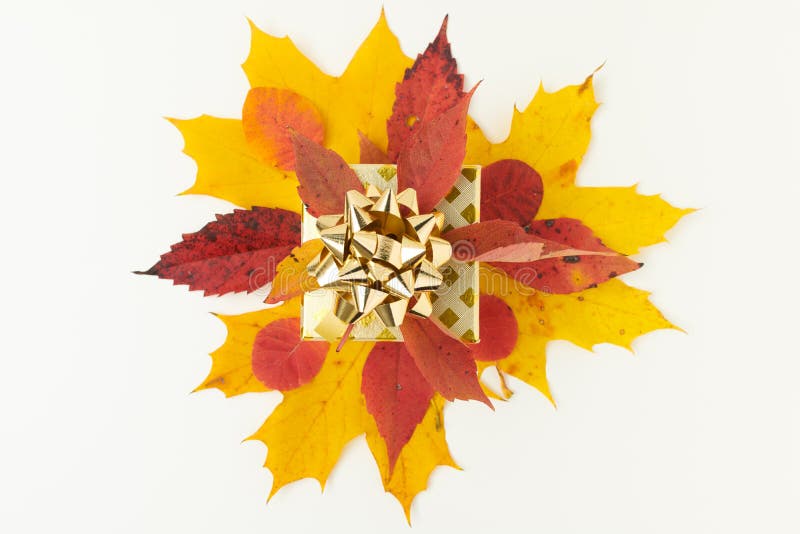 Autumn Flat Lay with Present Box and Leaves Stock Image - Image of ...