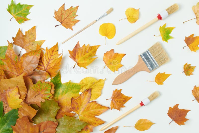 Autumn flat lay on white stock image. Image of flatly - 198146515