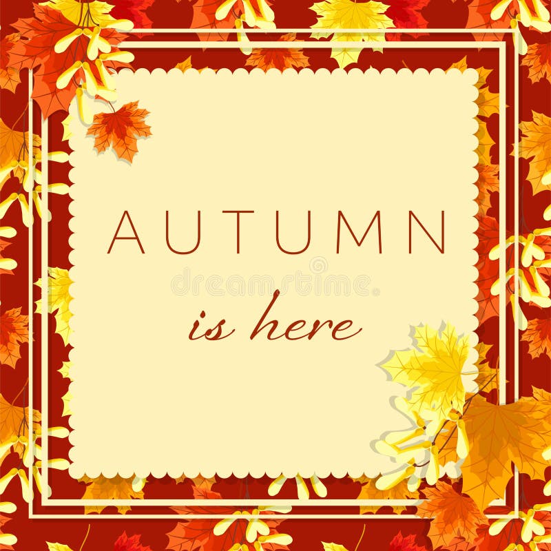 Autumn Floral Background of Autumn is Here Text with Autumn Maple ...