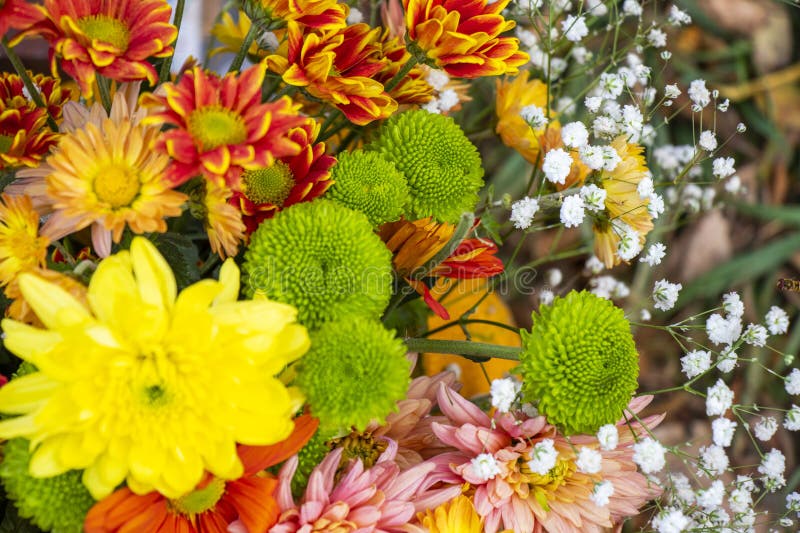 Autumn flowers bad stock image. Image of bouquet, plant - 298224081