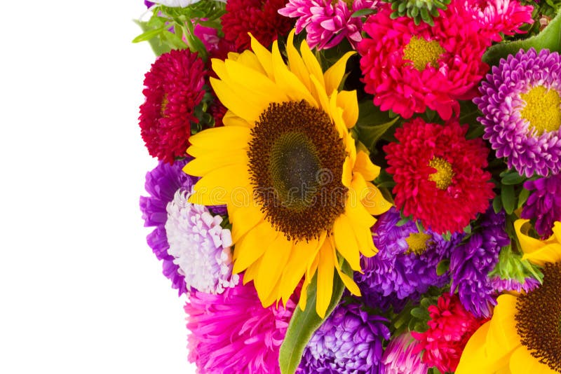 Autumn flowers border stock image. Image of background - 26629069