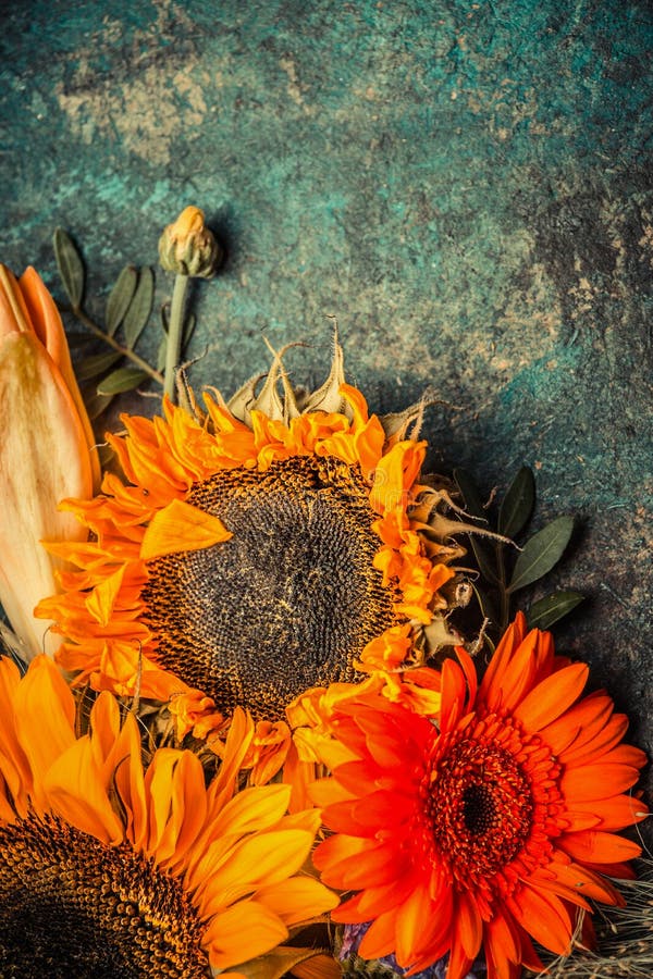 Autumn Flowers Bunch with Sunflowers on Dark Rustic Background, Top ...