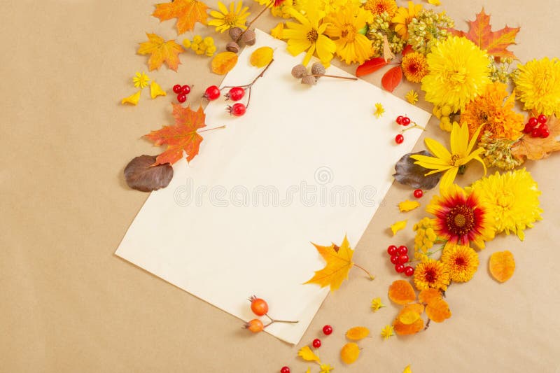 Autumn Flowers and Leaves on Paper Background Stock Image - Image of ...
