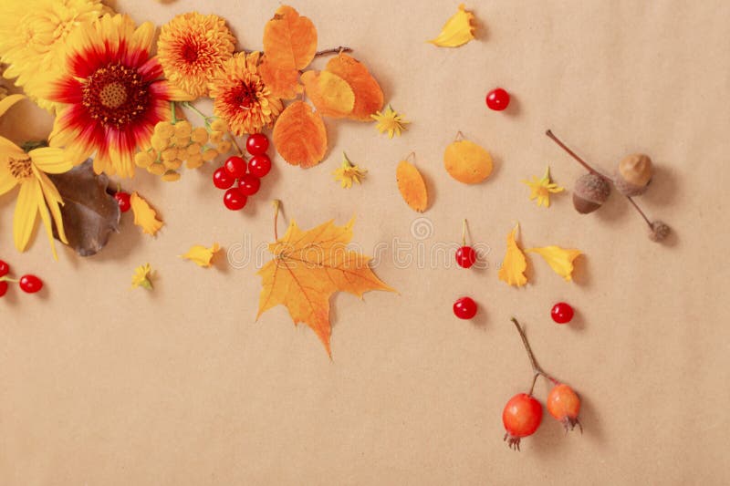 Autumn Flowers and Leaves on Paper Background Stock Photo - Image of ...