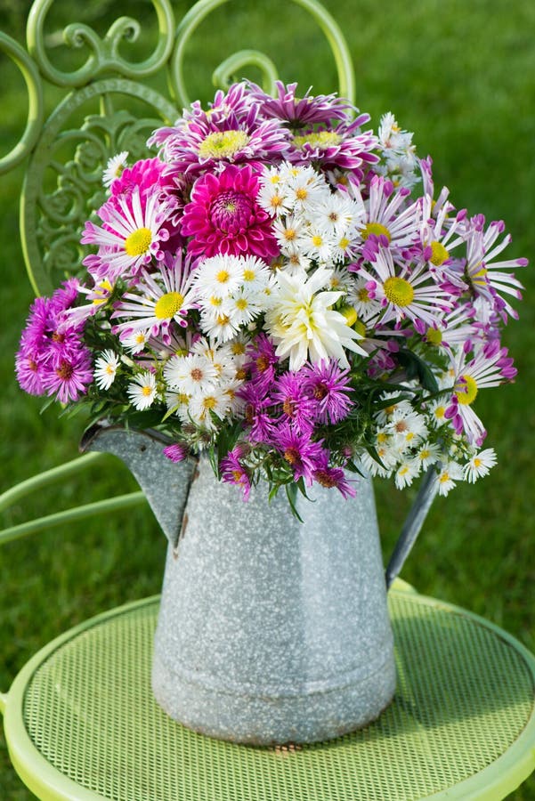 Autumn flowers stock photo. Image of watering, colorful - 47003556