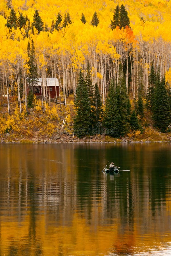Autumn Fly Fishing stock photo. Image of fall, grand - 22280980
