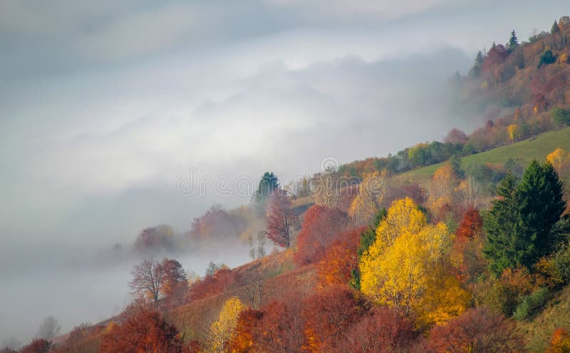 Autumn Fog in the Carpathian Mountains, Ukraine Stock Image - Image of ... Autumn Fog in the Carpathian Mountains, Ukraine Stock Image - Image of ...