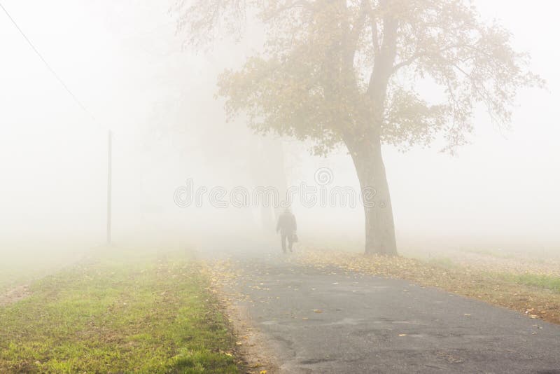 Autumn foggy day - Poland. stock image. Image of light - 36204109