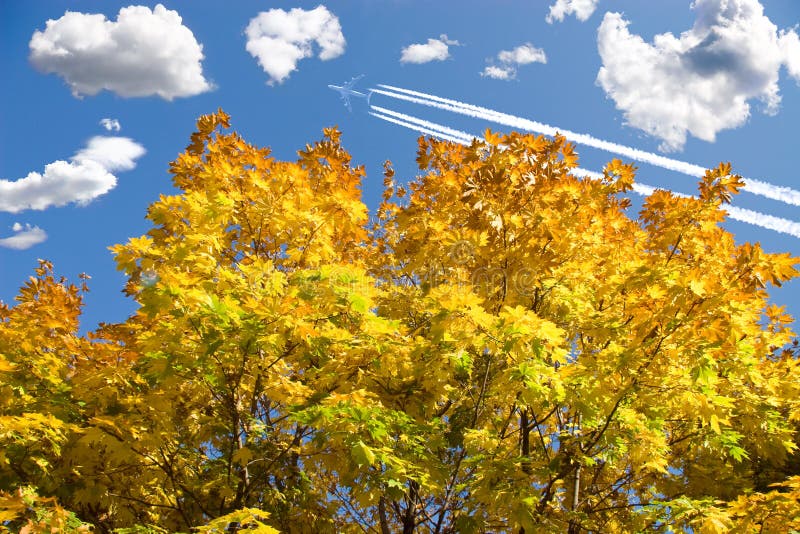 Autumn Foliage and Airplane Stock Photo - Image of lush, bright: 3443148
