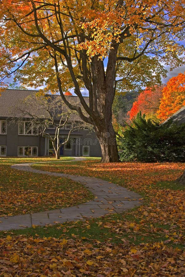 Autumn Foliage in Back Yard Stock Image - Image of natural, backyard ...