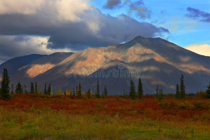 Autumn Foliage in Broad Pass, Alaska Stock Image - Image of arctic ...