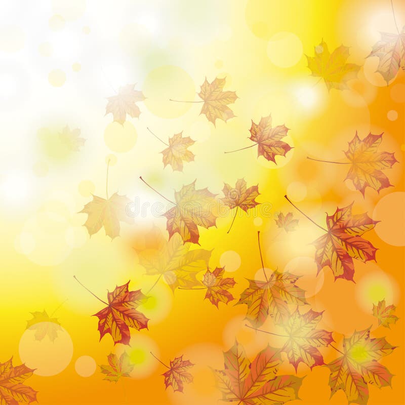 Autumn Foliage Fall ilustración del vector. Ilustración de hojas - 45827660