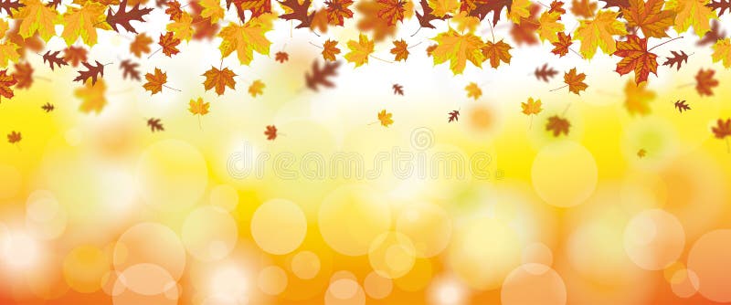 Autumn Foliage Fall Header stock vector. Illustration of autumnal ...