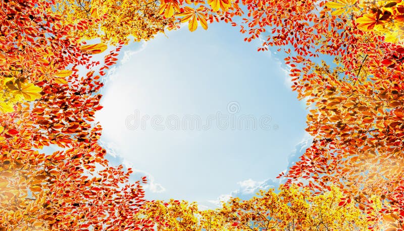Autumn Foliage Frame at Sky Background, Various Colorful Fall Leaves ...