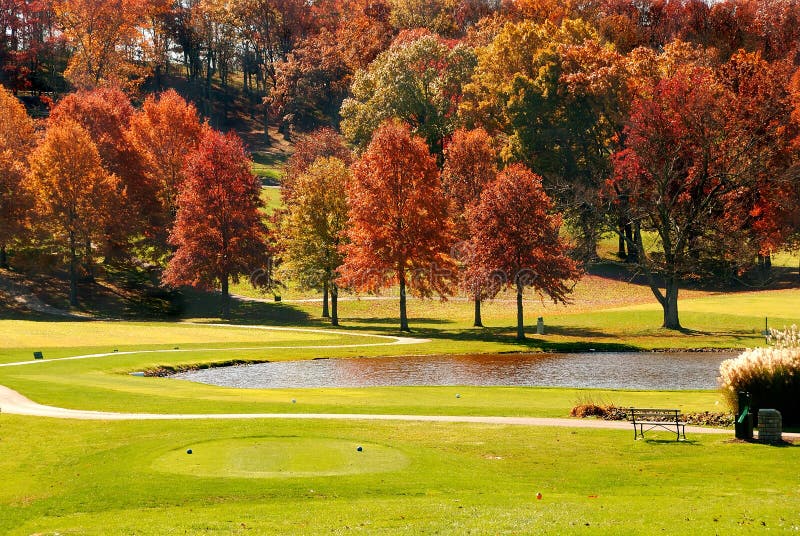 Autumn Foliage at the Golf Course Stock Image - Image of bronze ...