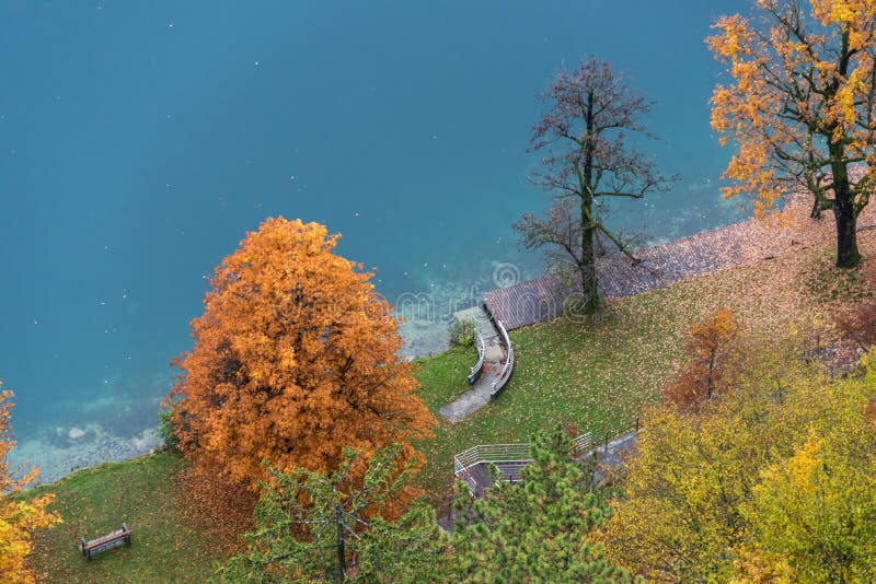 Autumn Foliage on Lake Bled Stock Photo - Image of lake, seasons: 128571436