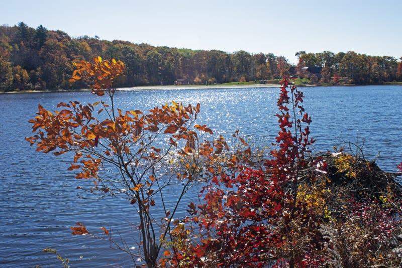 Autumn Foliage at Lake Marcia -05 Stock Photo - Image of bright, leaves ...