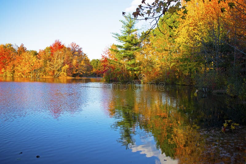 Autumn Foliage at Lake Perimeter -10 Stock Photo - Image of reflections ...