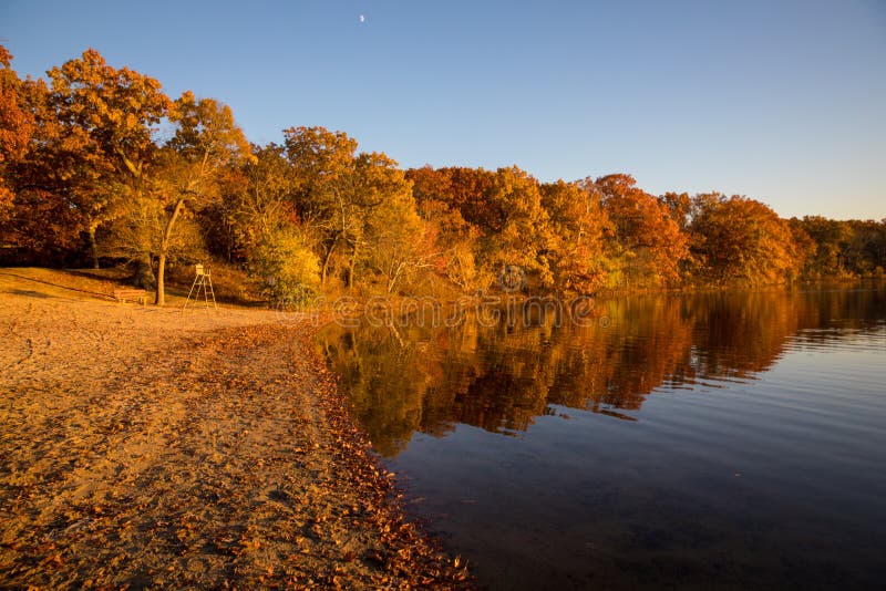 Autumn foliage on the lake stock image. Image of mirror - 89725191