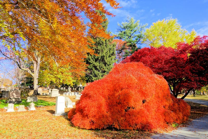 Autumn Foliage stock image. Image of historic, landscape - 47964657