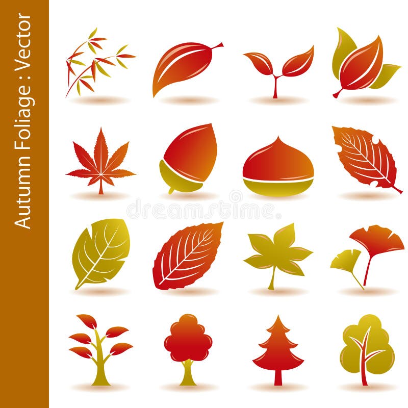 Autumn Foliage Leaf Icons Set Stock Vector - Illustration of bright ...