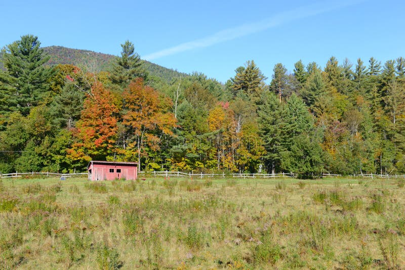 Autumn Foliage in a Northeast Forest Stock Photo - Image of york ...