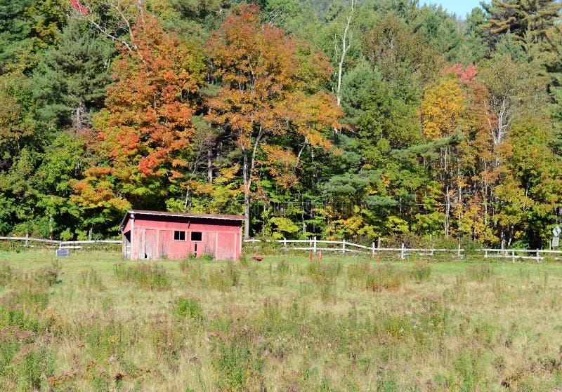 Autumn Foliage in a Northeast Forest Stock Image - Image of woods ...