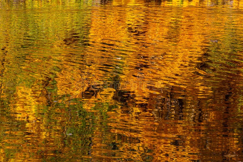 Autumn Foliage Reflection in Water Stock Image - Image of leaf, gold ...