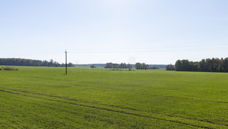 Autumn Foliage on Trees in Europe Stock Photo - Image of color, scenic ...
