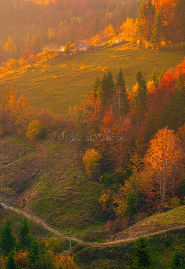 Autumn Foliage Trees in the Mountains Meadow with Haystack Stock Image ...