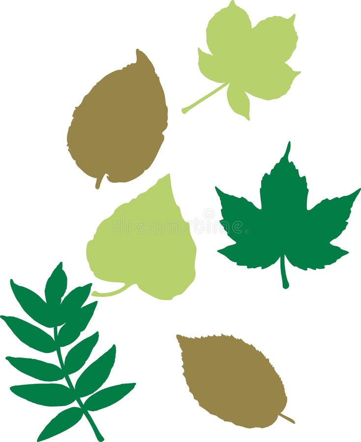 Autumn foliage vector stock vector. Illustration of autumn - 107177898