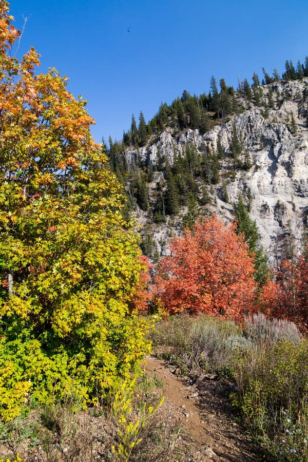 Autumn Foliage stock photo. Image of leaf, landscape - 44579386