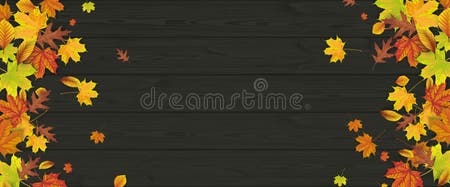 Autumn Foliage Fall Header Wood Stock Illustration - Illustration of ...