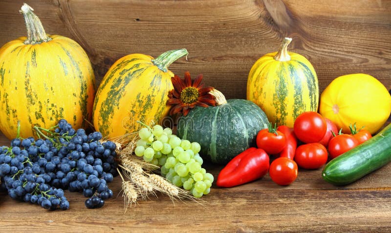 Autumn food stock photo. Image of fruits, life, happy - 60488880