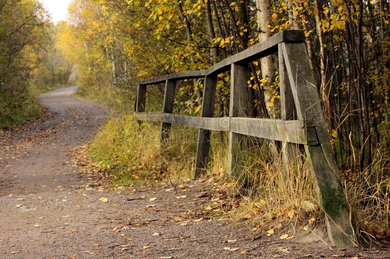 Autumn footpath. stock image. Image of path, scene, environment - 11372751