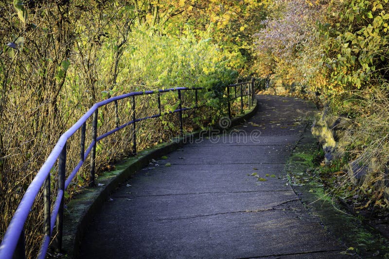 Autumn Footpath through the Alley Stock Image - Image of forest, fall ...