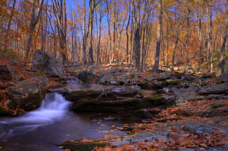 Falling in Nature stock photo. Image of falling, colorful - 1535214