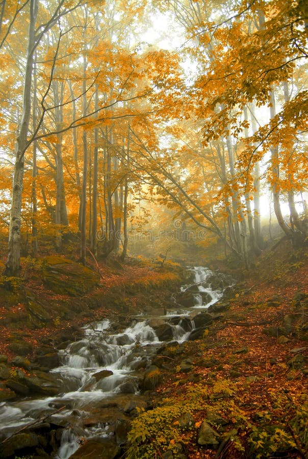 Waterfall in a Forest in Autumn Stock Photo - Image of morning, bright ...