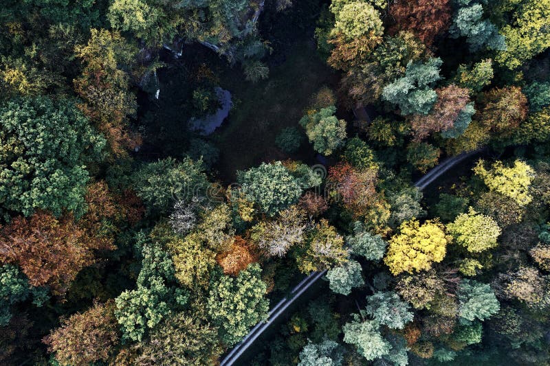 Autumn Forest Aerial Drone View from Above, Dji Stock Photo - Image of ...