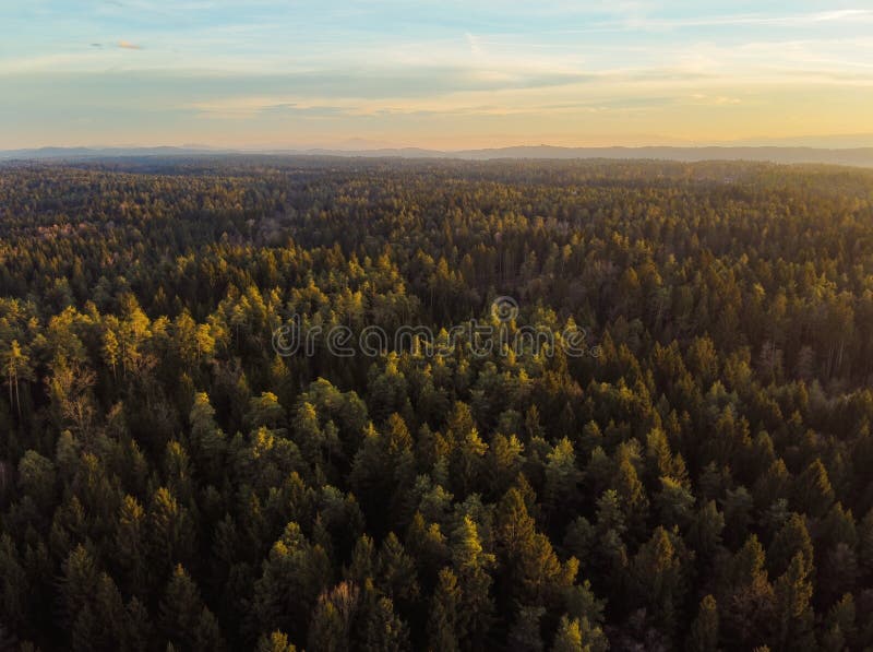 Autumn Forest Aerial View from Above Stock Photo - Image of forest ...