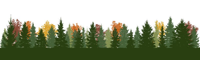 Autumn Forest, Beautiful and Realistic Fir Trees and Ash Trees. Horizon ...