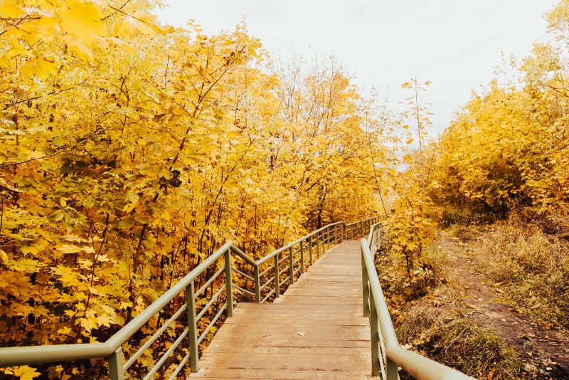 Autumn Forest Bridge Way in Scenery Fall Woods Stock Photo - Image of ...