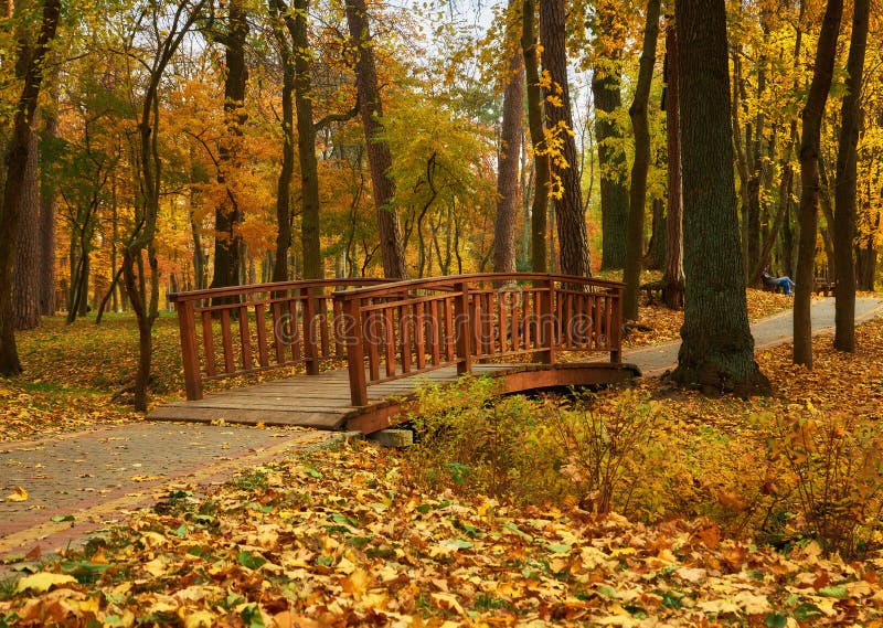 Autumn Forest Bridge Way in Scenery Woods Stock Photo - Image of ...