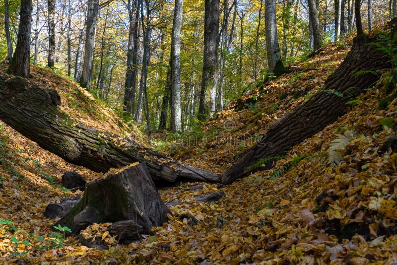 Cleft ground stock image. Image of background, drought - 11455069