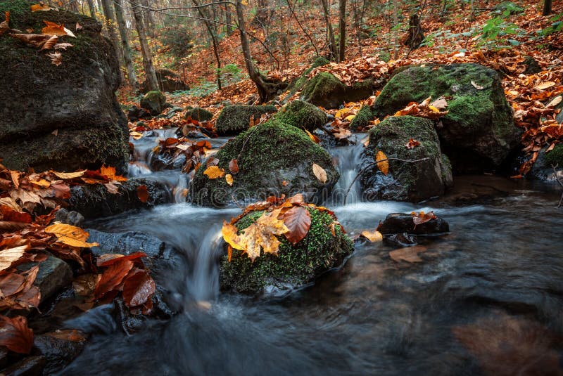 Autumn forest with creek stock photo. Image of october - 34814024