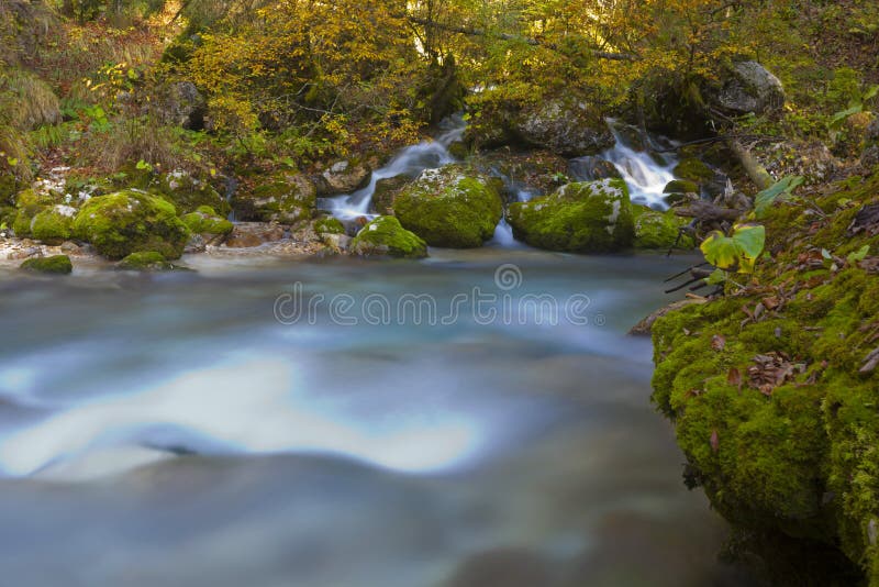 Autumn Forest and Fresh Mountain Stream Stock Photo - Image of long ...